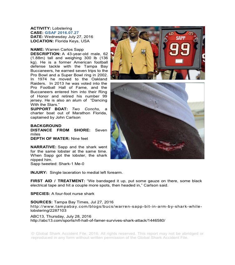 The Mystery of Shark Attacks – David Aaro